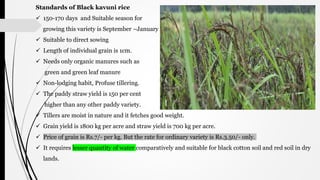 TRADITIONAL RICE VARIETIES IN CAUVERY DELTA ZONE.pptx