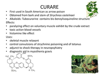 Traditional to modern | PPTX | Herbs and Supplements | Alternative Medicine