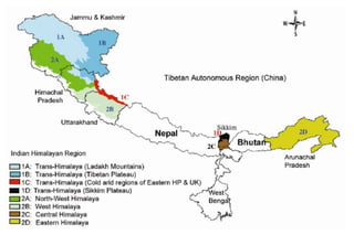 Traditional water harvesting | PDF