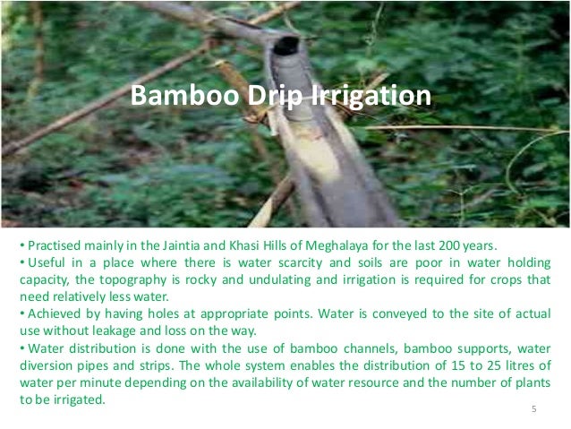 Traditional Irrigation Moat