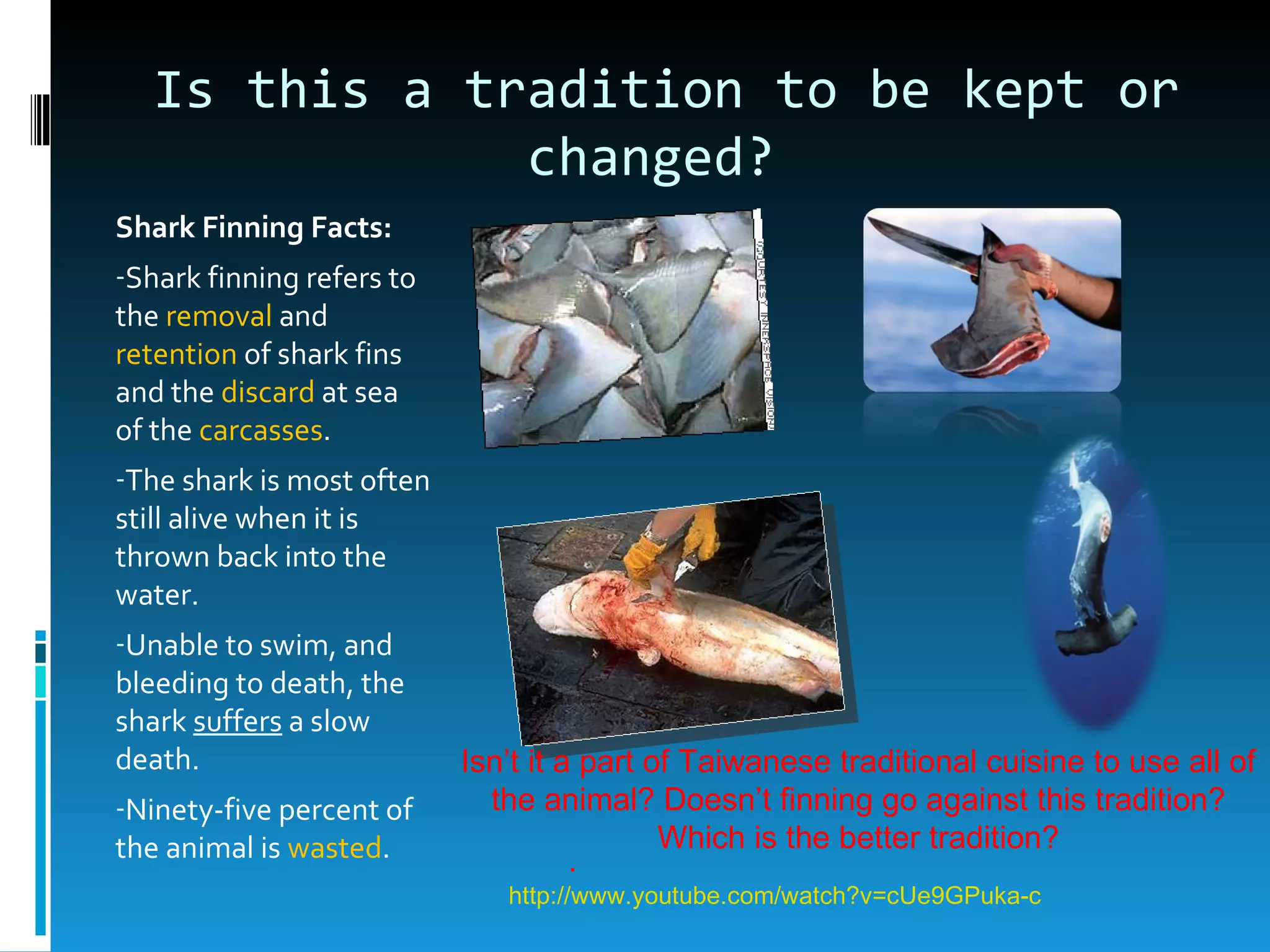 Tradition vs change | PPT | Fish and Aquariums | Pets