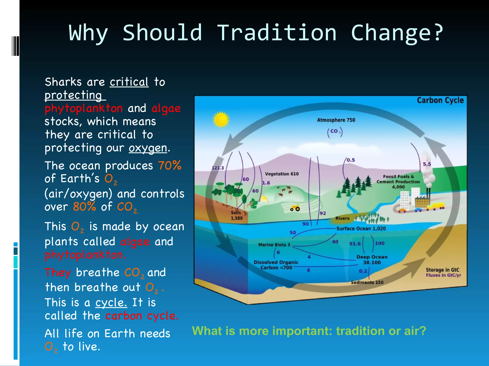 Tradition vs change | PPT | Fish and Aquariums | Pets