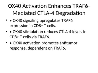 TRAF6 CTLA4 Antitumor for regulatory on CTLA4 antitumor | PPT