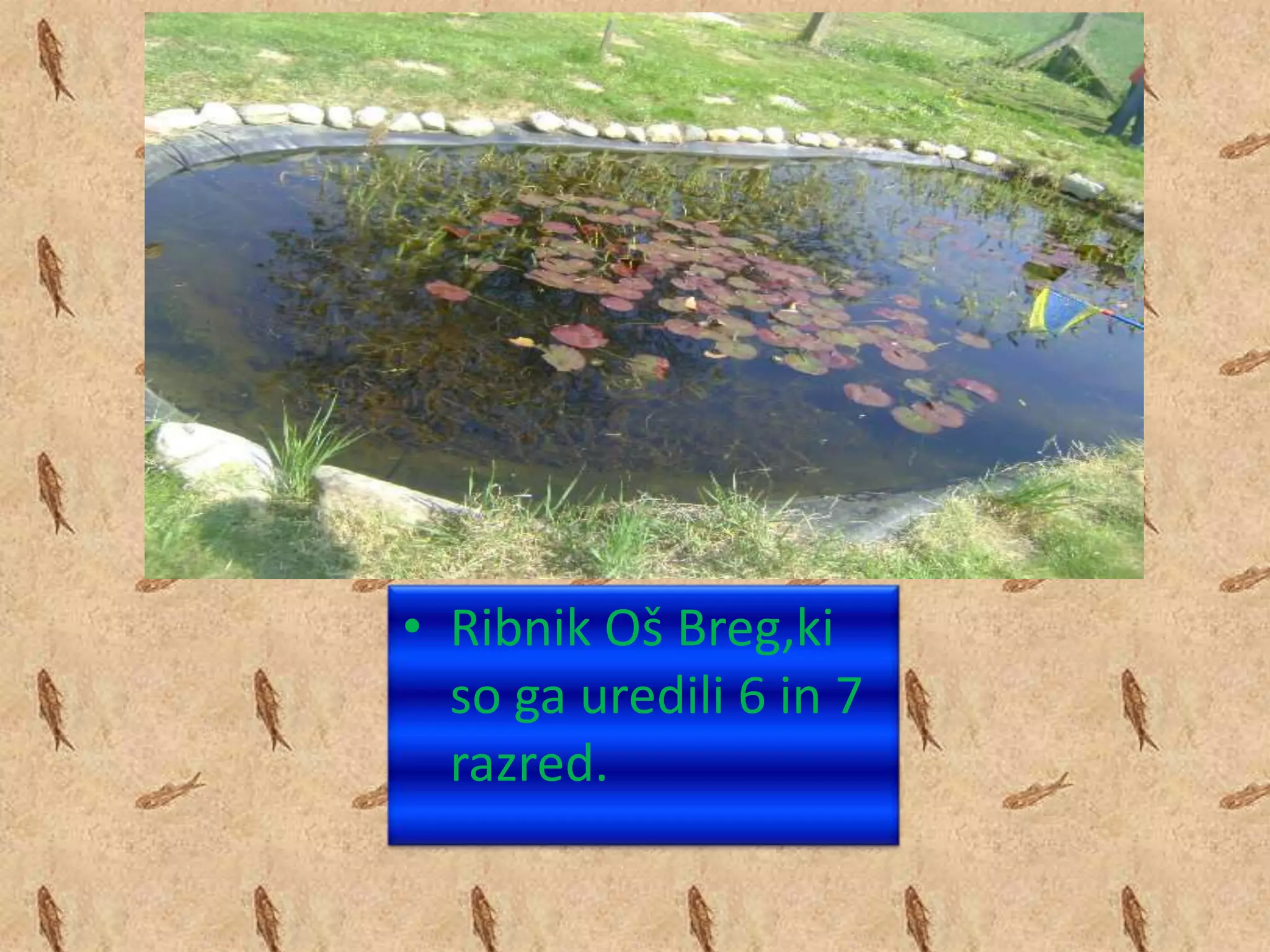 DAN ZEMLJE OŠ BREG | PPTX