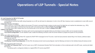 TRAFFIC-ENG MPLS mpls mpls mpls mpls .pdf