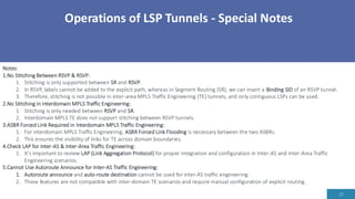 TRAFFIC-ENG MPLS mpls mpls mpls mpls .pdf
