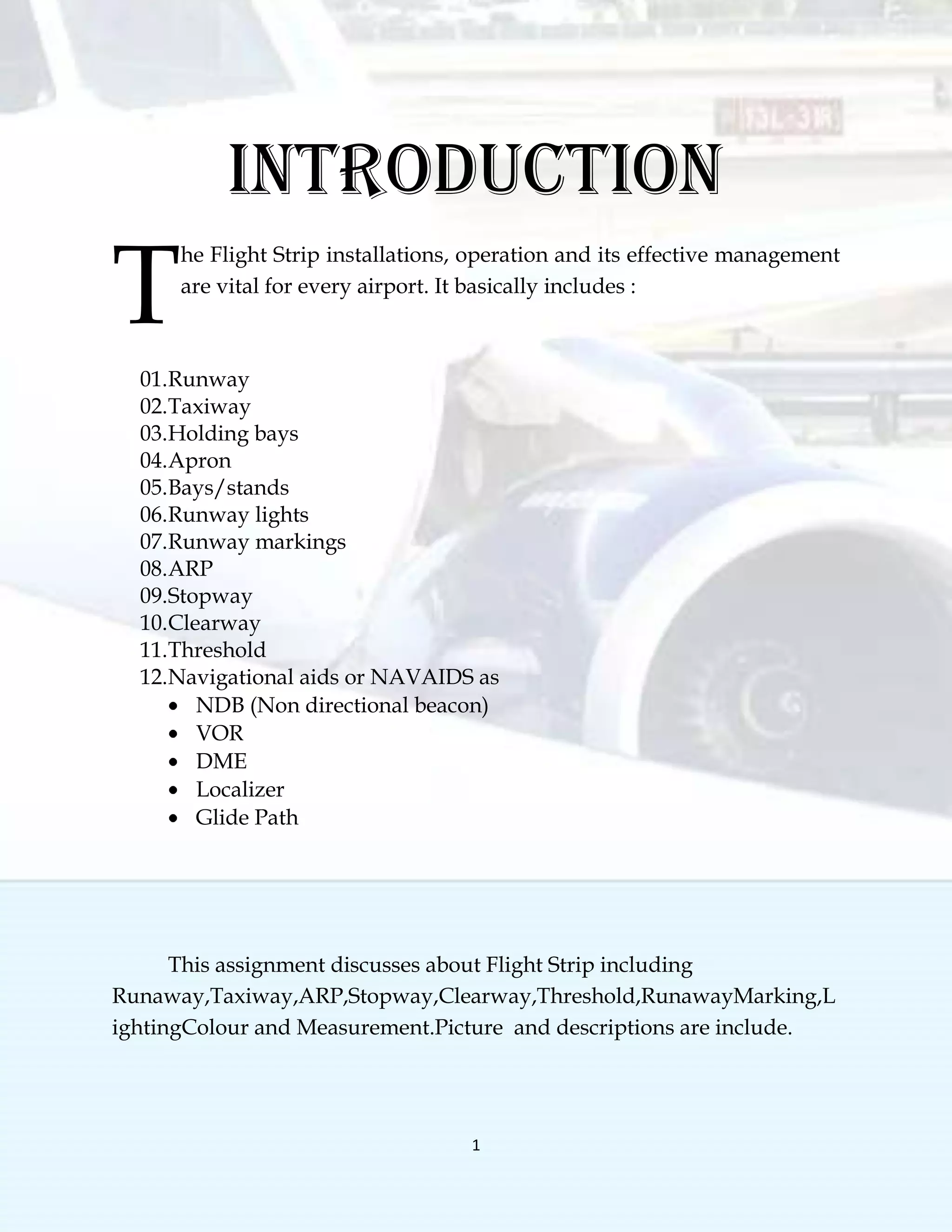 flight strip/ marking/scale | DOCX