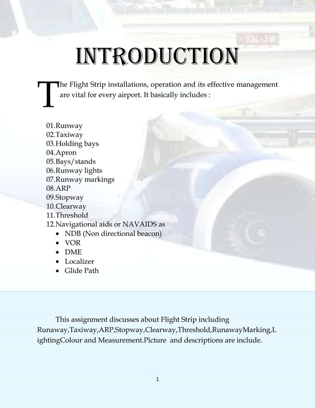 flight strip/ marking/scale | DOCX