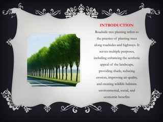 TRAFFIC ENGINEERING (CE-5I).pptx civil engineering | PPTX | Auto Safety ...