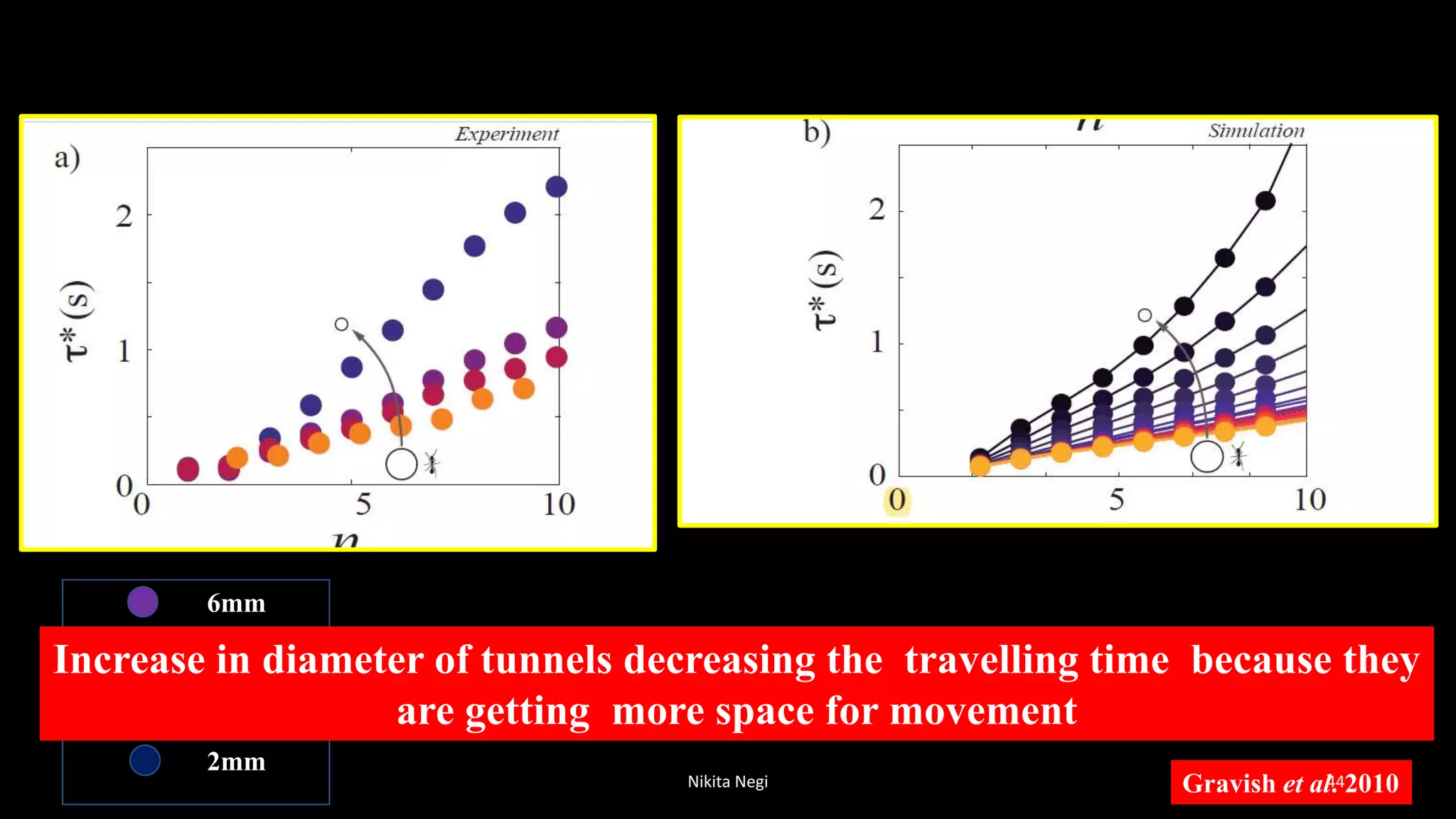 Traffic management in ants | PPTX