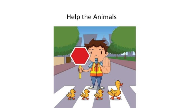 Traffic and Road Safety.pptx | Children\'s Health | Healthy Living