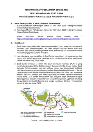 The brief of explanation traffic separation scheme | PDF
