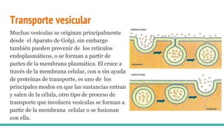 Trafico vesicular | PPTX