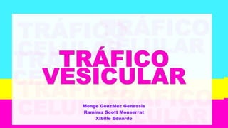 Tráfico vesicular | PPTX