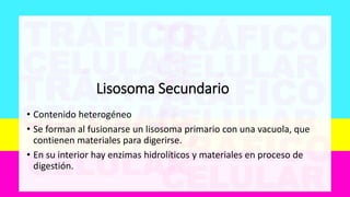 Tráfico vesicular | PPTX