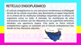 Tráfico vesicular | PPTX