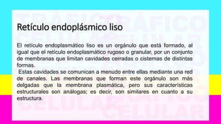 Tráfico vesicular | PPTX