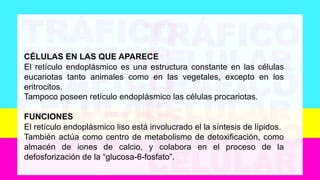 Tráfico vesicular | PPTX
