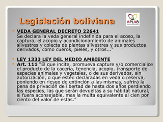 Tráfico de Animales | PPT