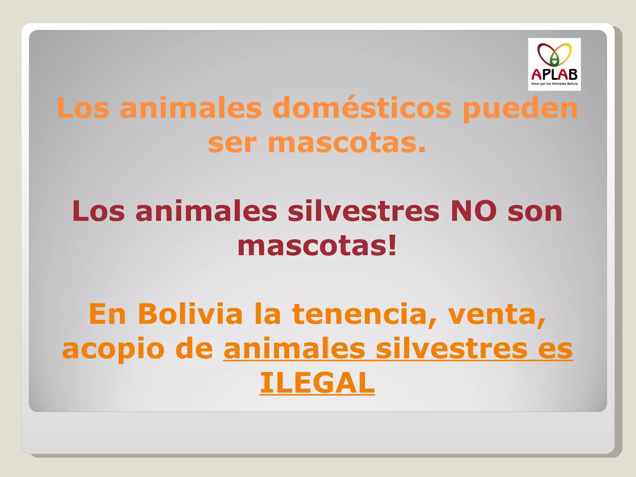 Tráfico de animales silvestres | PPT