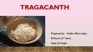 Tragacanth 2 | PDF