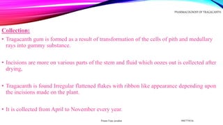 Tragacanth | PPTX