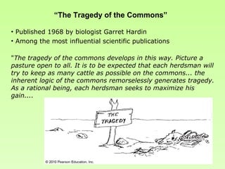 Tragedy of the Commons | PDF