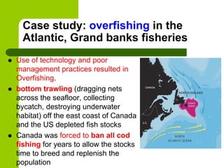 tragedy of the commons.ppt