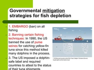 Tragedy Of The Commons Fish