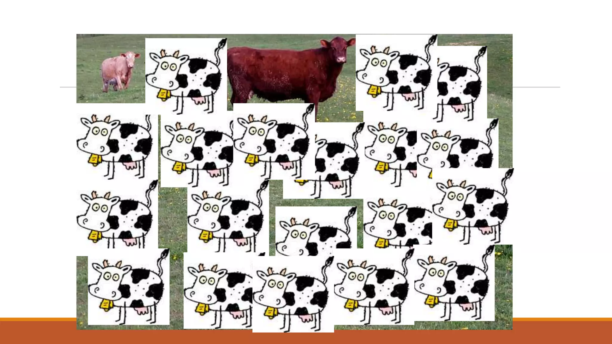 Tragedy of the Commons.pptx