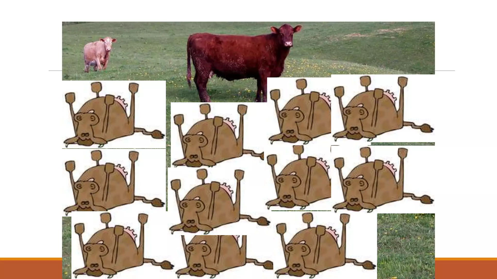 Tragedy of the Commons.pptx