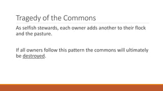 Tragedy of the Commons.pptx