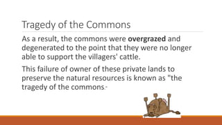 Tragedy of the Commons.pptx | Science