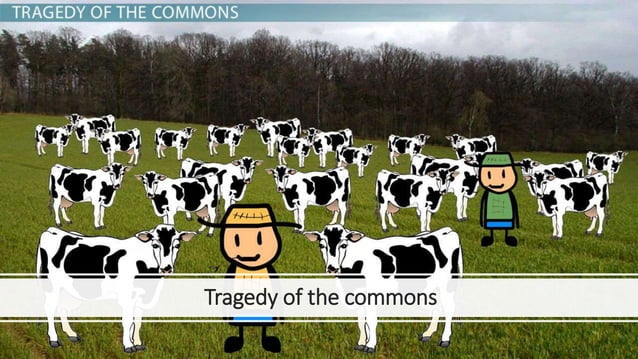 Tragedy of Commons | PPTX | Environment | Science