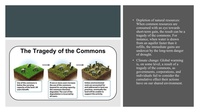 Tragedy of Commons | PPTX | Environment | Science