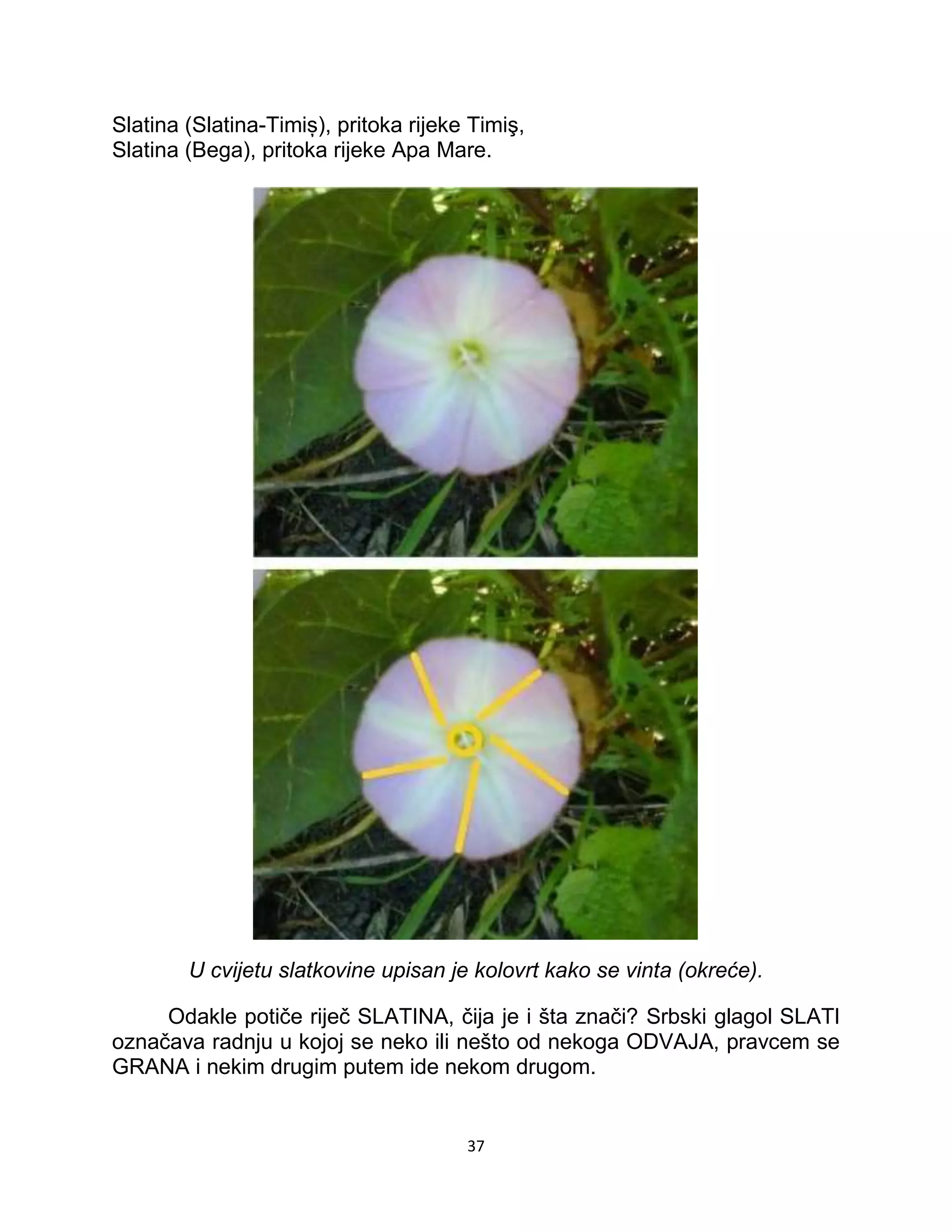 Tragom istine.pdf