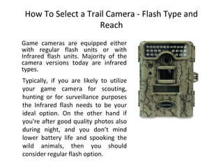 Trail Camera Buying Guide | PPT