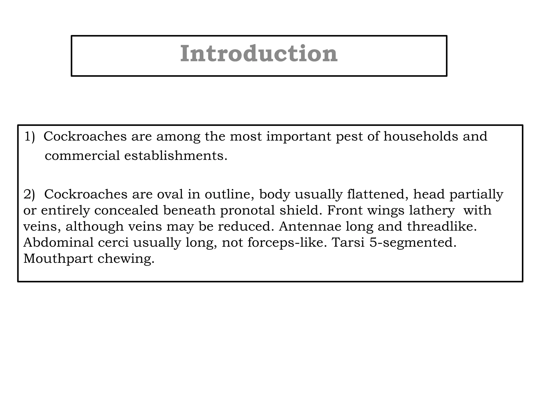 Types of Cockroaches and there Attributes | PPTX