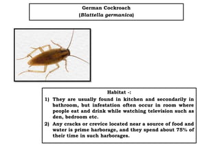 Types of Cockroaches and there Attributes | PPTX