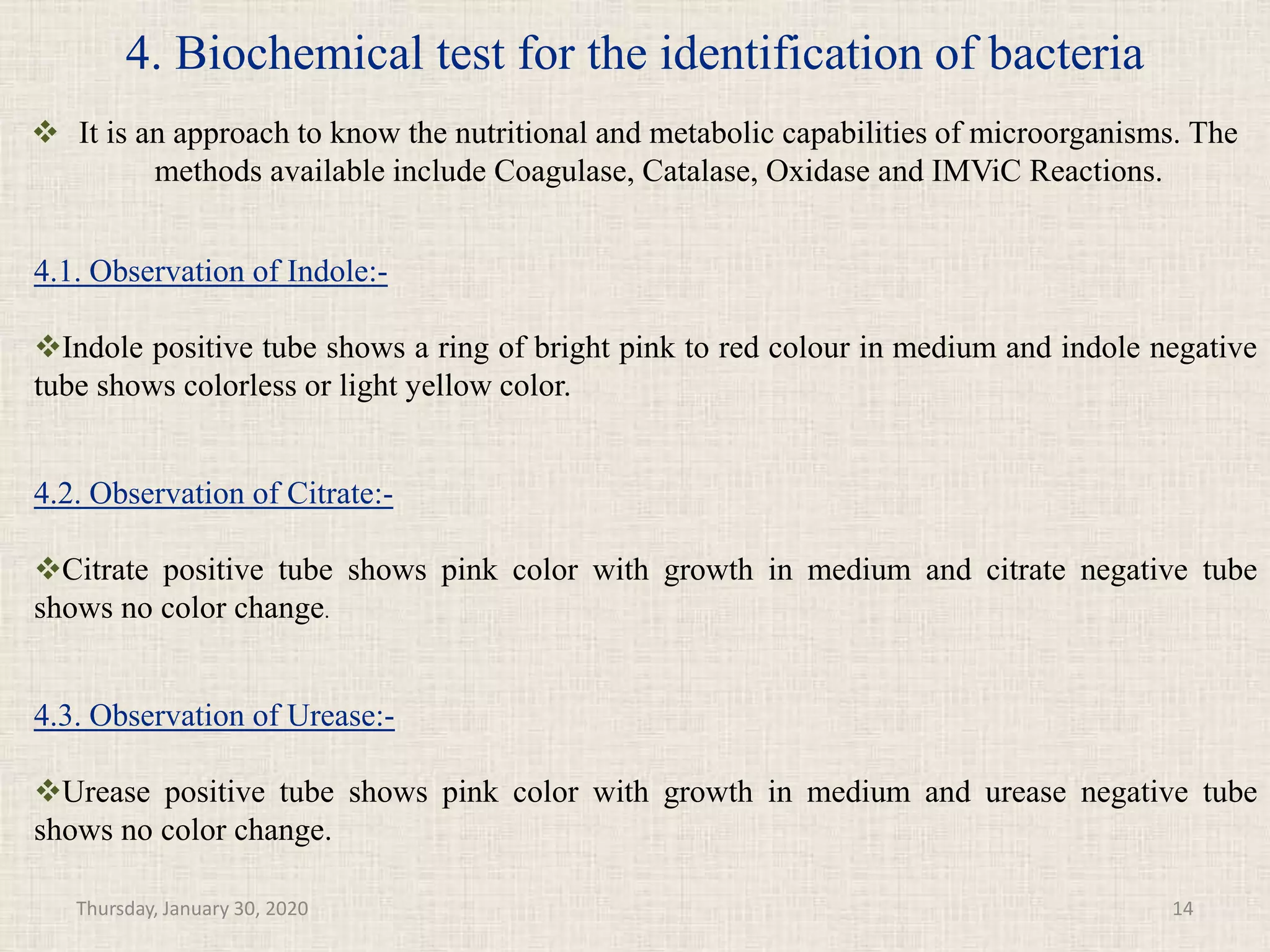 Clinical Microbiology | PPTX