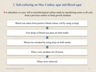 Clinical Microbiology | PPTX