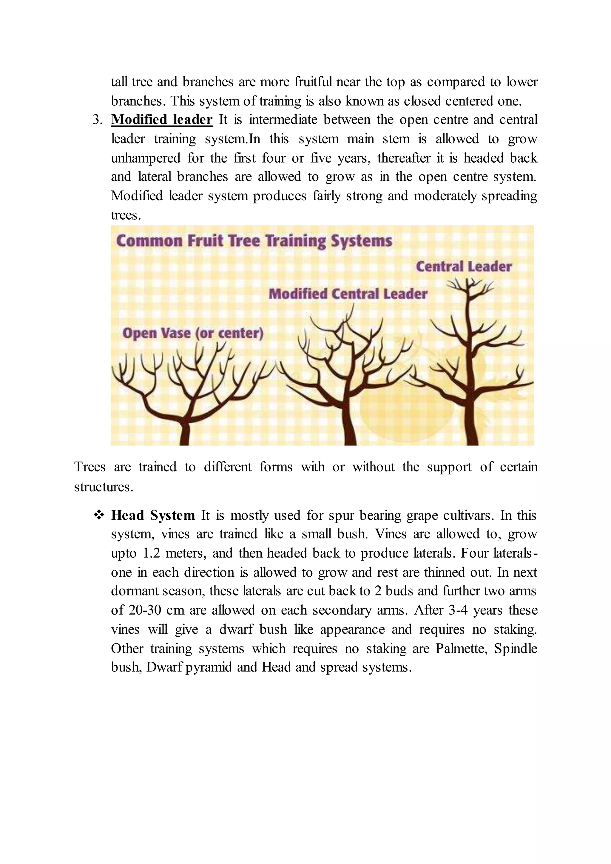 Training of fruit crops | DOCX | Gardening | Home & Garden