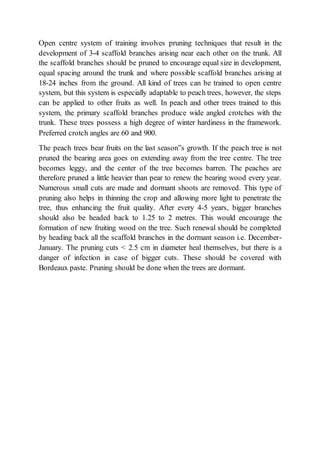 Training of fruit crops | DOCX