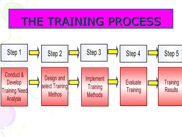 Training And Development