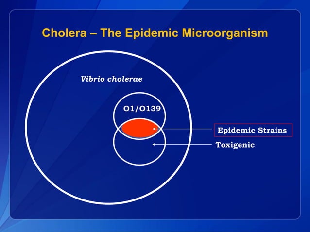 Training-course-cholers.pdf