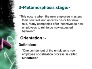 Training and developing employees | PPTX