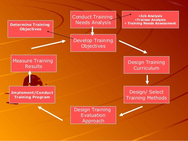 Training and Development