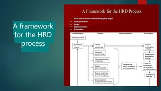 Training and Development PPT 2.pptx