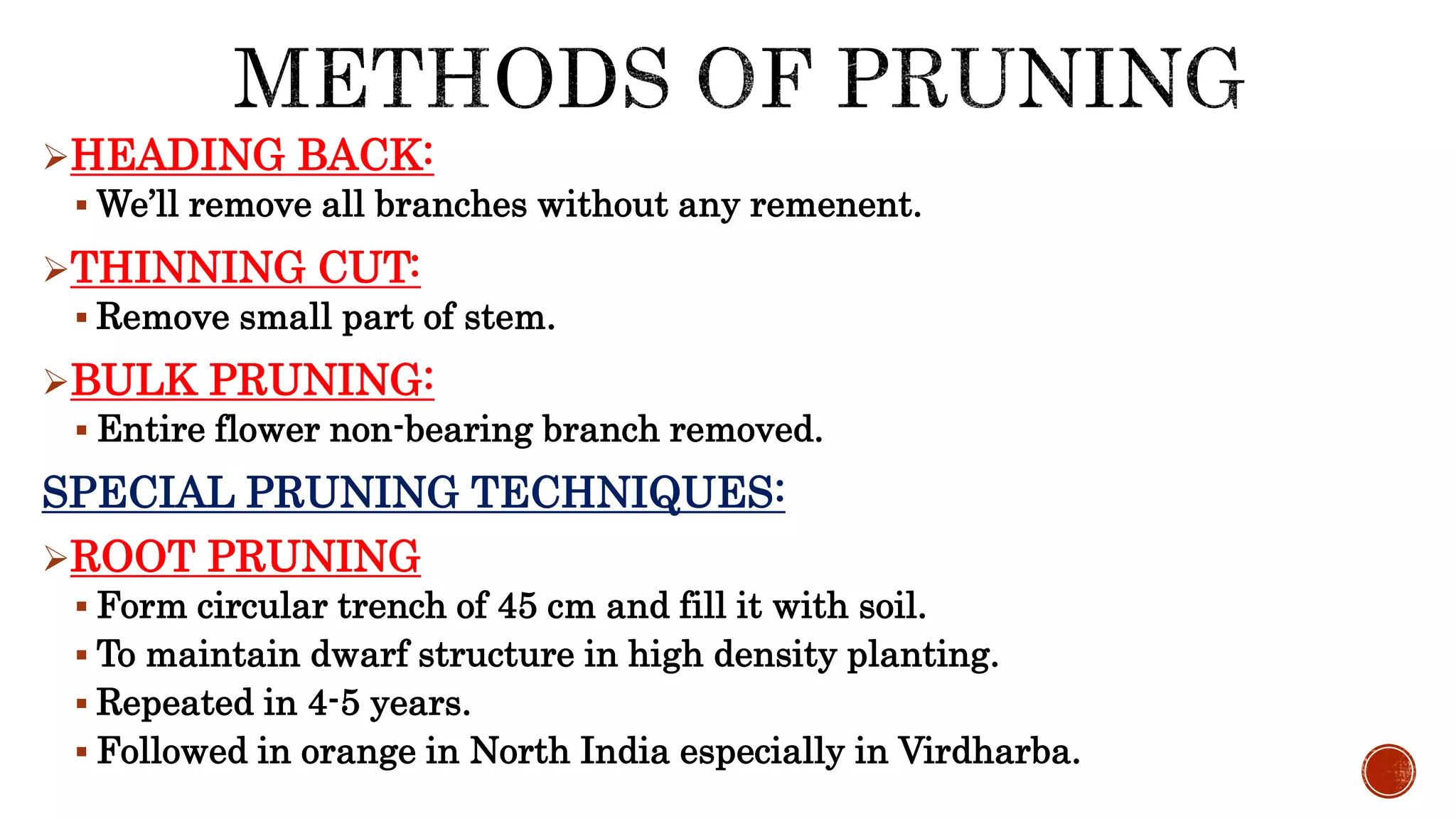 Training and pruning | PPTX