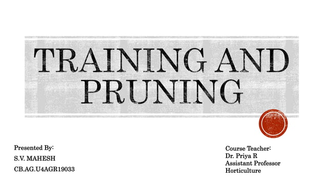 Training and pruning | PPTX | Gardening | Home & Garden